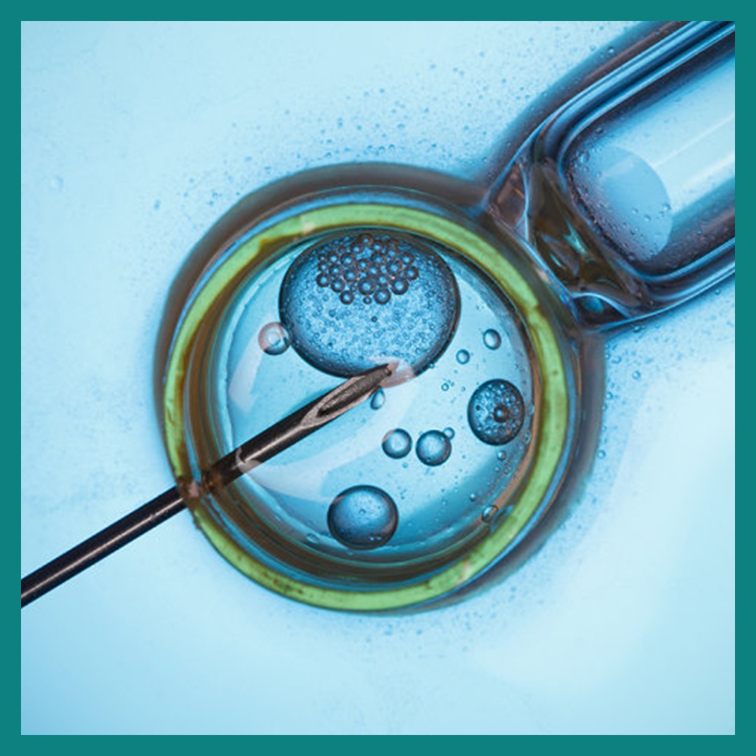 Ero Med – Urology & Cosmetic Sexual Clinic